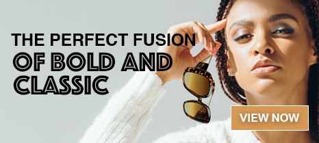 BROCHURES - Avroy Shlain