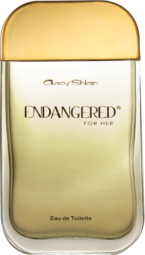 Endangered For Her - Avroy Shlain